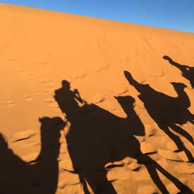 17 Top Desert Trip Packing List Items + What NOT to Bring (2018)